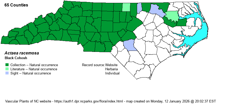 Vascular Plants of North Carolina