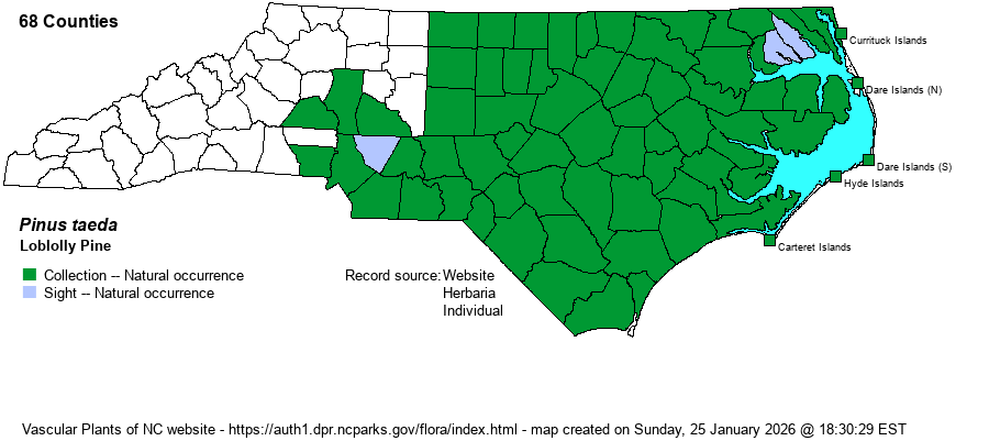 Vascular Plants of North Carolina