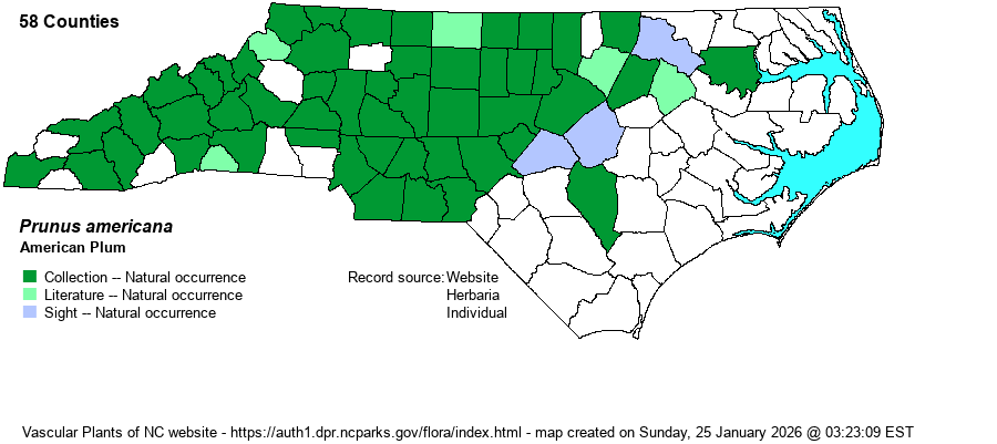 Vascular Plants of North Carolina