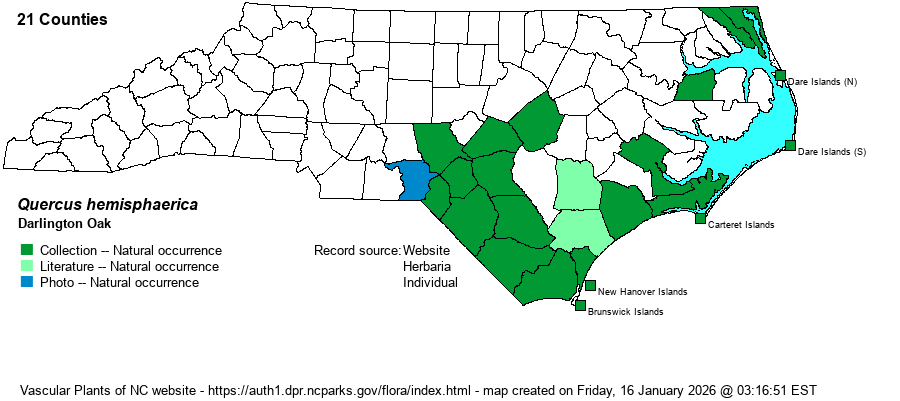 Vascular Plants of North Carolina