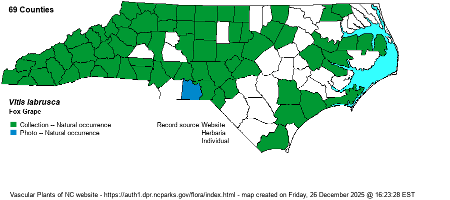 Vascular Plants of North Carolina