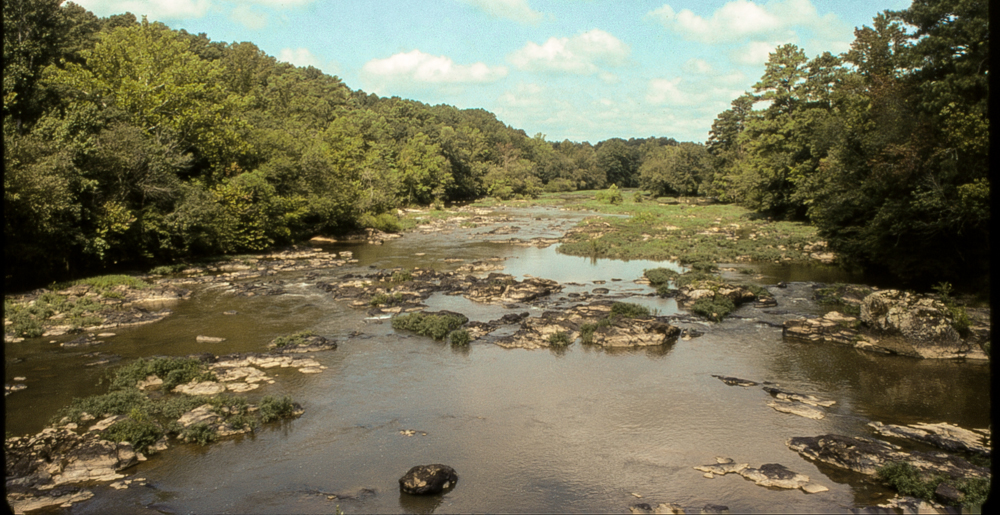 Habitats of North Carolina