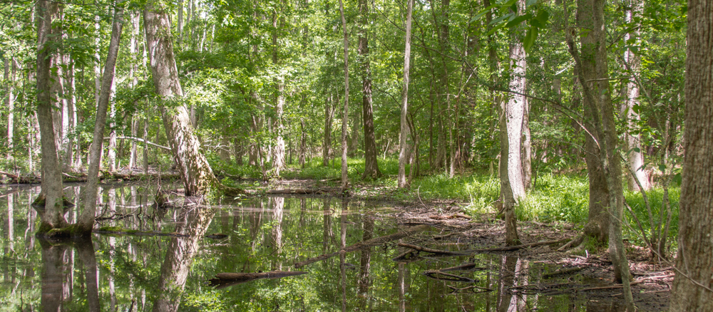Habitats of North Carolina